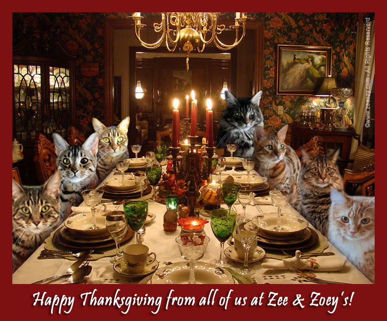 Feeling Grateful and Happy Thanksgiving from Zee & Zoey's Cat ...